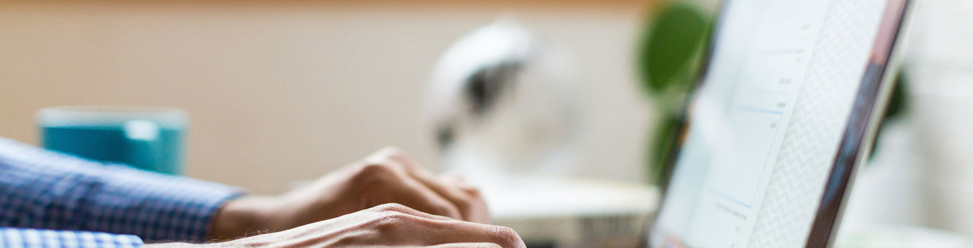 PensionsInfo | Et samlet overblik over din pensionsopsparing